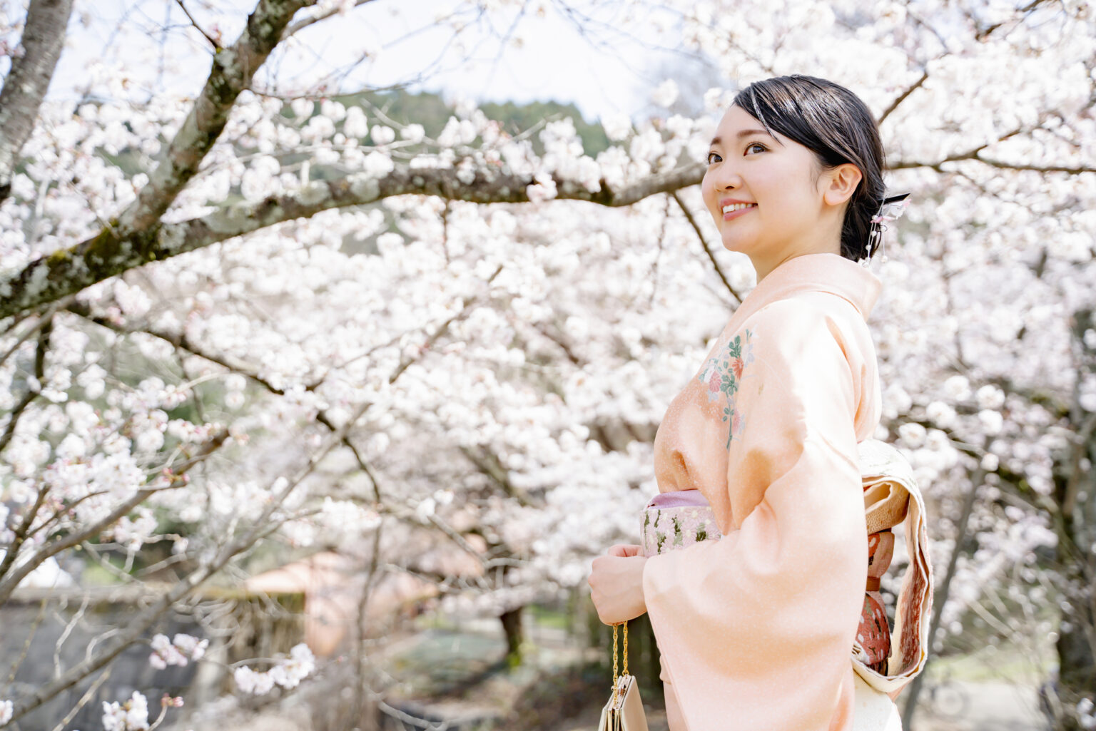Wearing the charm of Gion – Touring Kyoto’s red-light district in ...