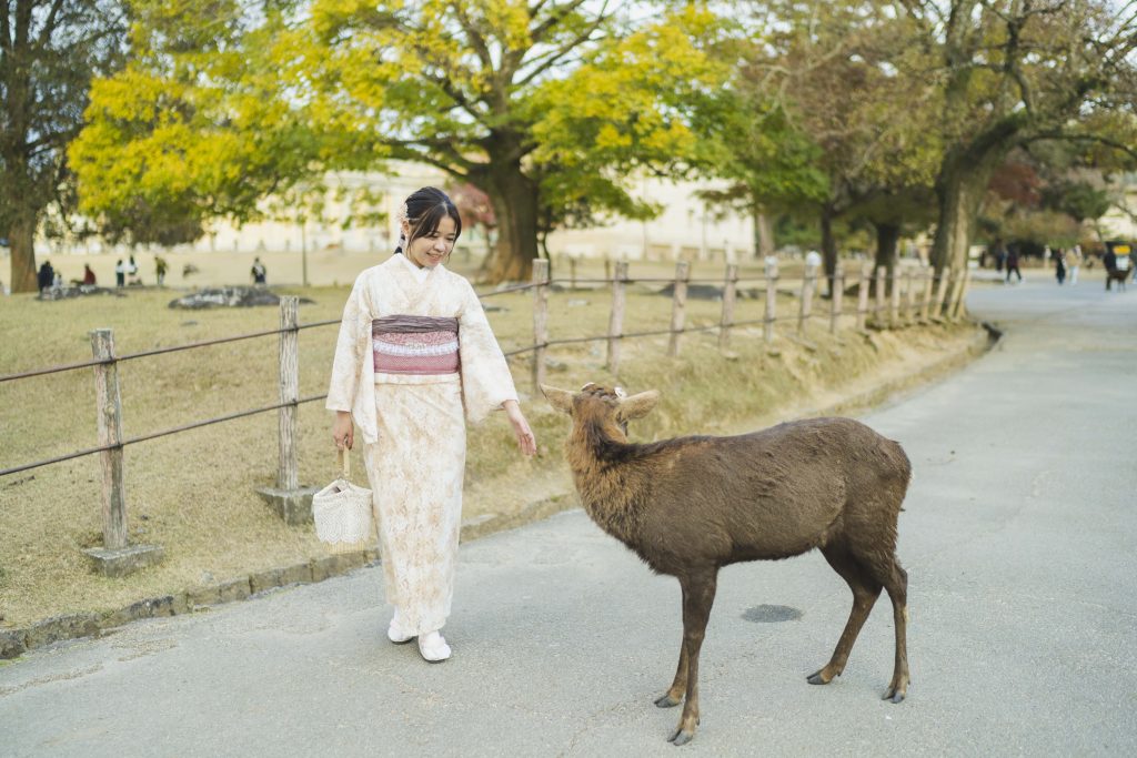 If you want to rent a kimono in Nara, the closest place to Nara Park is ”Waplus Nara, Nara Park ...