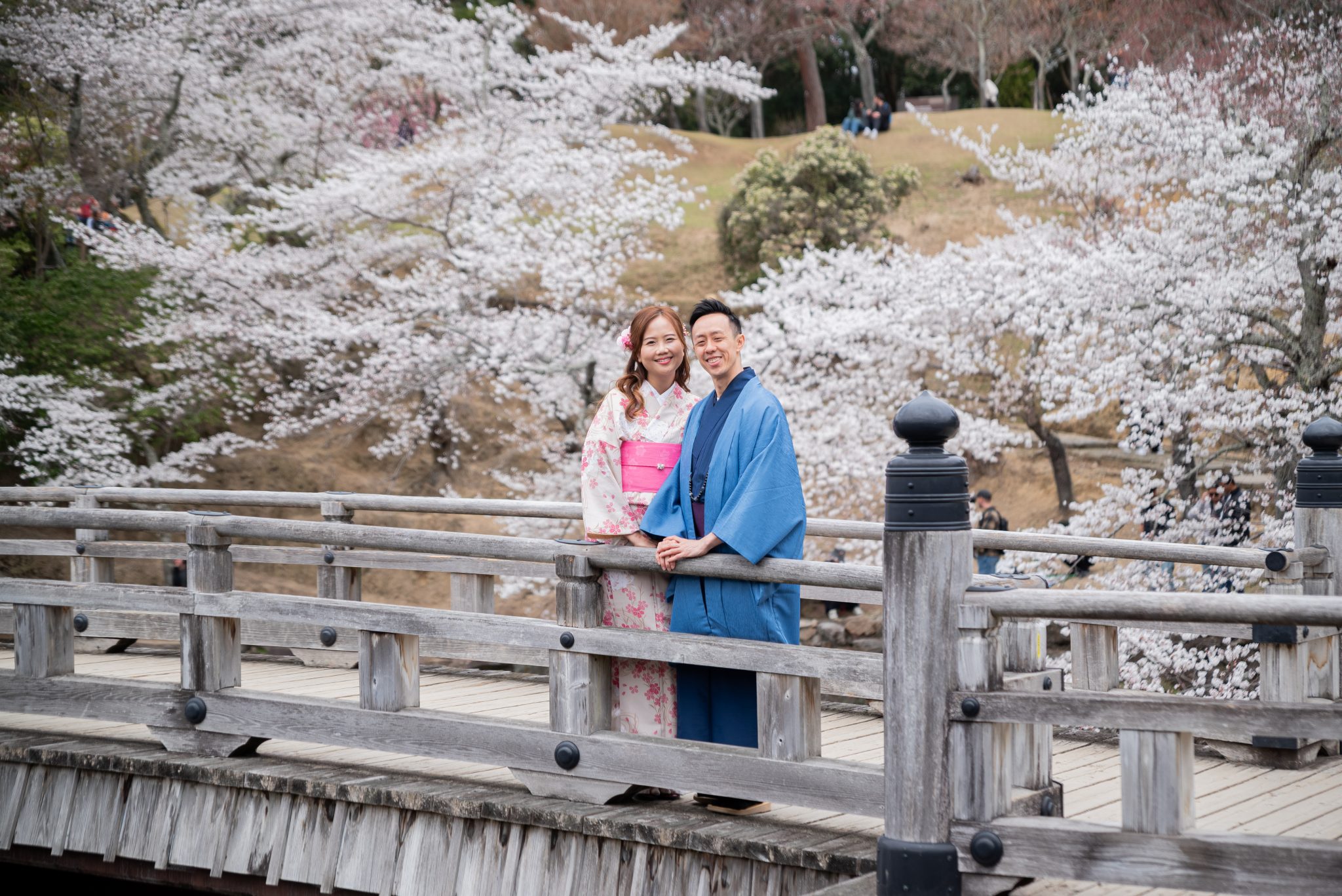 🌸 Kimono Photoshoot in Nara Park: Enjoy Cherry Blossoms Before Full ...